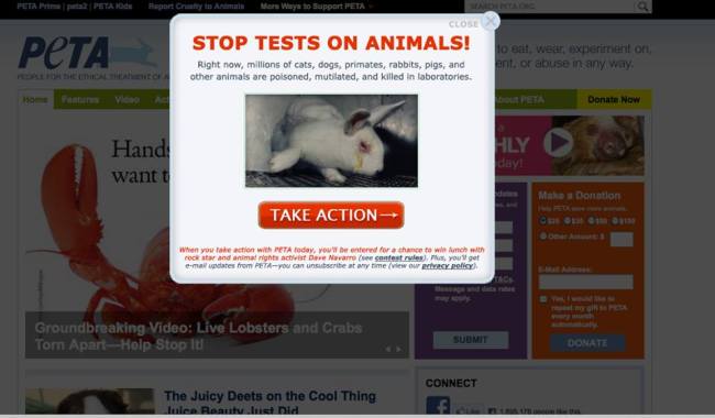 The Personality Behind PETA – IMC Hawks Blog